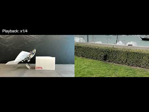 受鸟类启发的新型无人机“RAVEN”可以行走、跳跃和飞行 – TechAcute