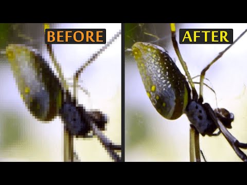 TecoGAN: Increasing Media Resolution without Losing Details [Video ...