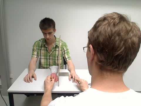 Rubber Hand Experiment: Fooling Your Brain [Video] – TechAcute