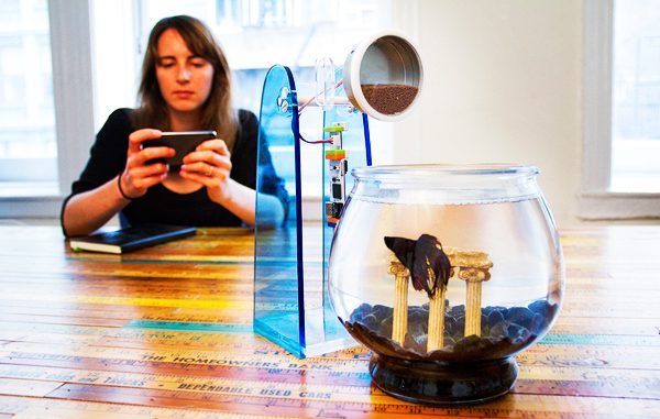 DIY Wifi-Activated Remote Pet Feeder for Geeks with Pets
