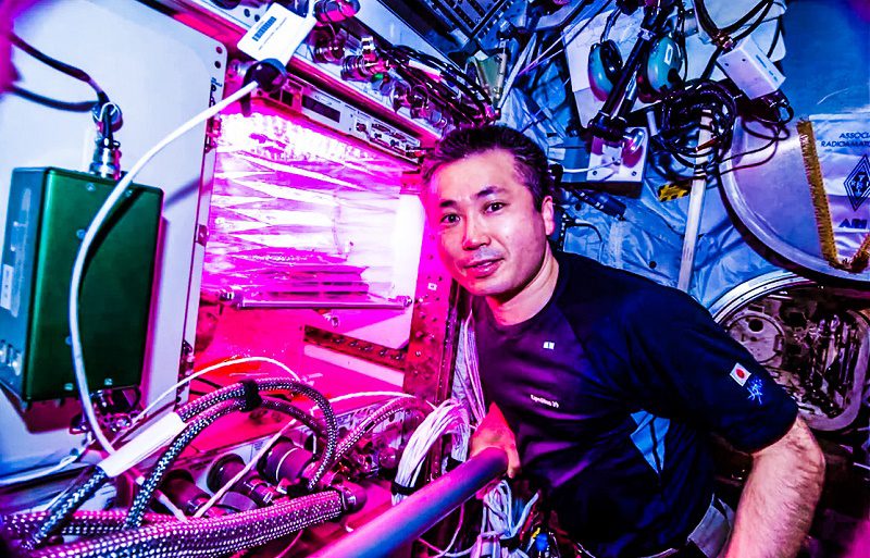 First Vegetables Successfully Grown in Space [Video] – TechAcute