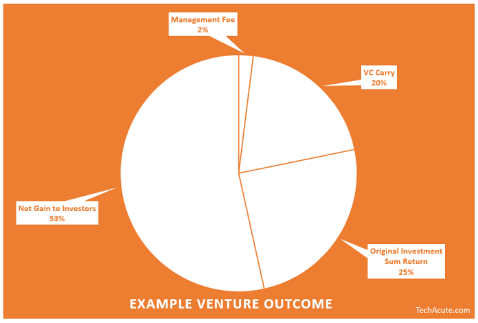 What Does a Venture Capitalist Do? – TechAcute