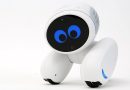 Domgy: Pet Robot and IoT Virtual Assistant in One - TechAcute