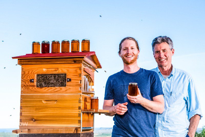 Flow Hive: Beehive Reinvented, Gives You Honey on Tap – TechAcute