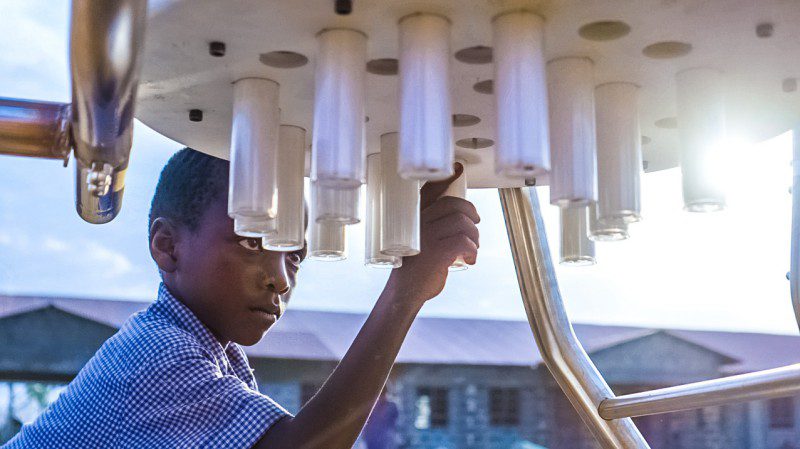 Vaca solar para proporcionar electricidad a cambio de educación - TechAcute