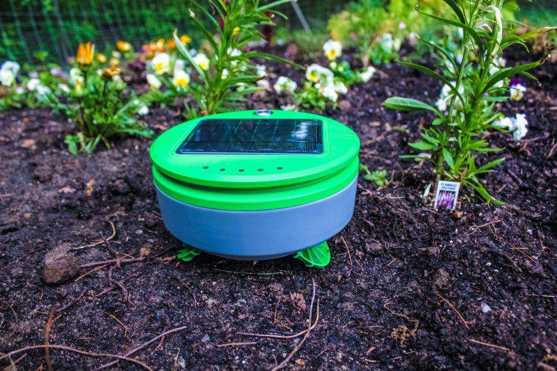 Tertill: The Solar-Powered Weed Control Robot – TechAcute