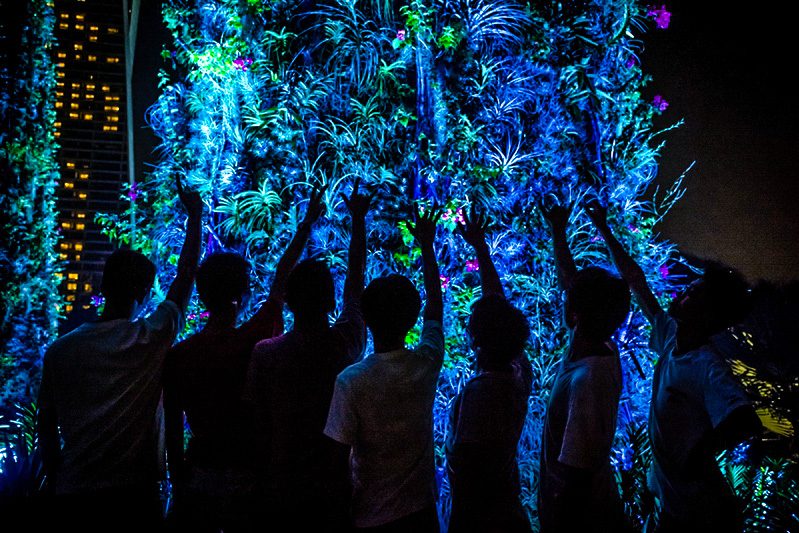 Self-Adaptive Invisibility Cloak: The "Magic" in Optics – TechAcute