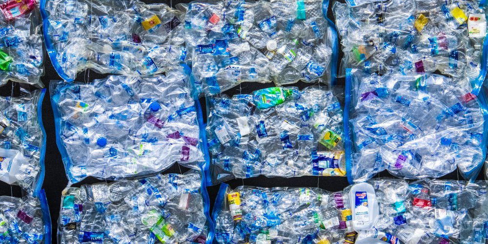 Researchers Study Engineered Bacteria Able to Biodegrade Plastic ...