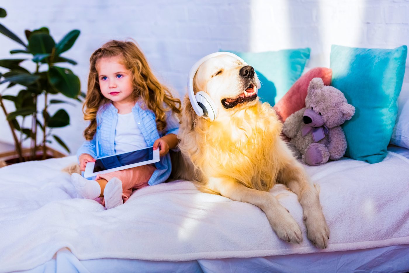 Gadgets & Wearables for Dogs: Tech Your Pets Will Love