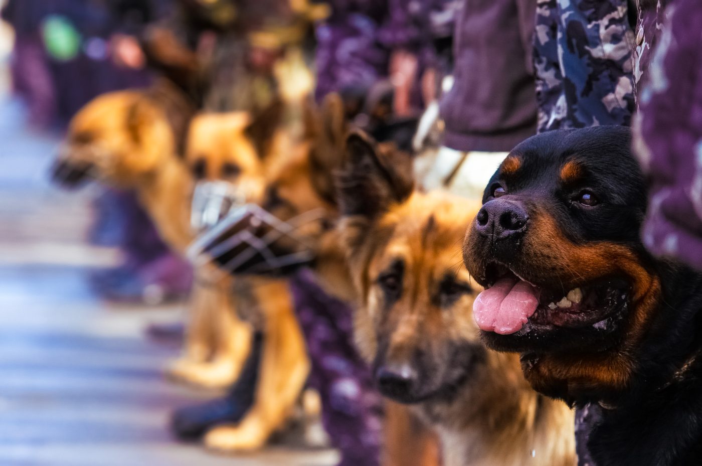 🌎10 sa Mga Pinakatanyag na Search Engine sa Buong Mundo