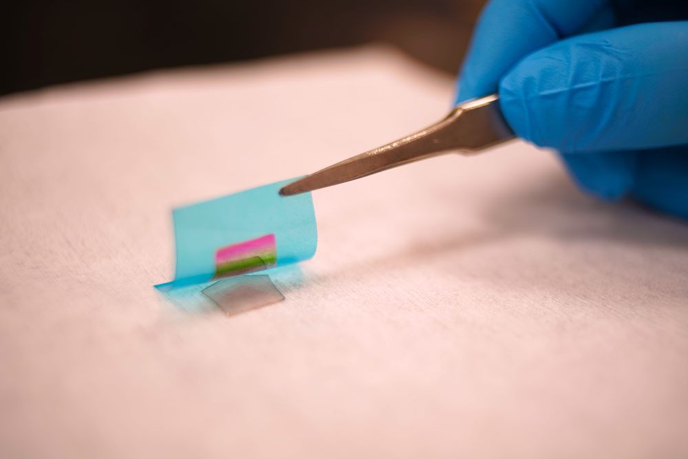 MIT Designs E-Skin That Can Be Peeled Off Like A Bandaid – TechAcute