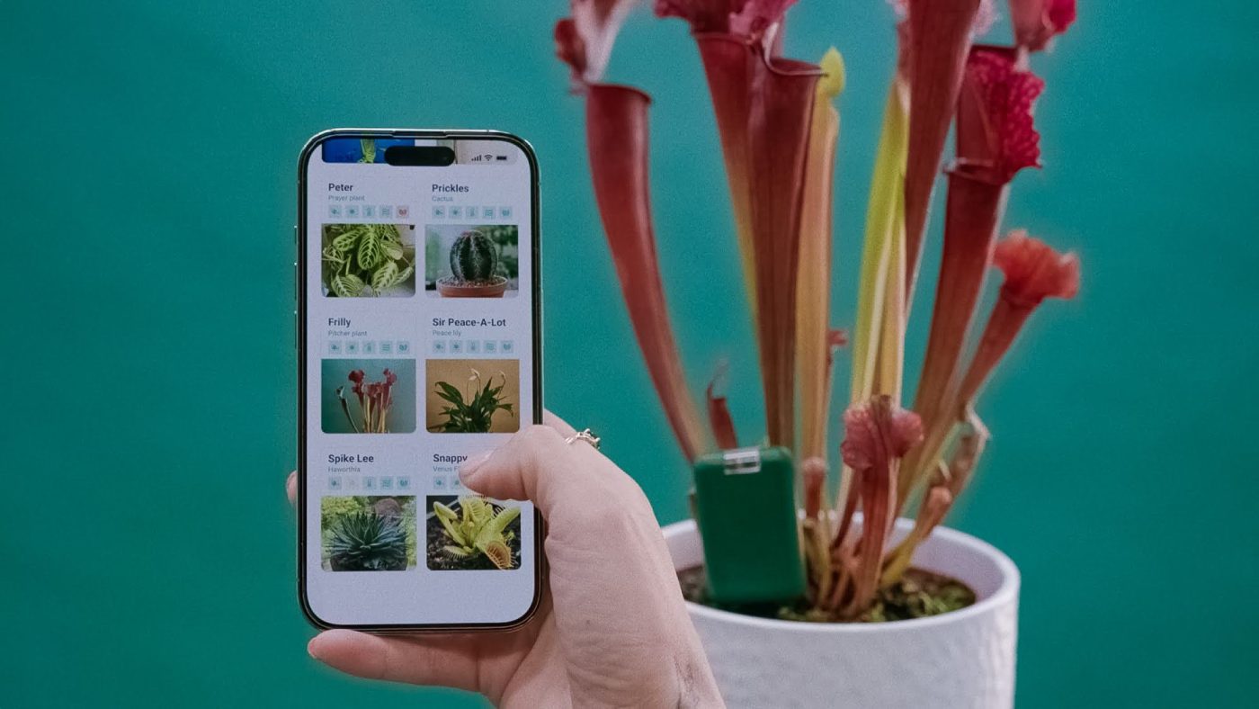 Monitor Houseplant's Needs with SmartyPlants