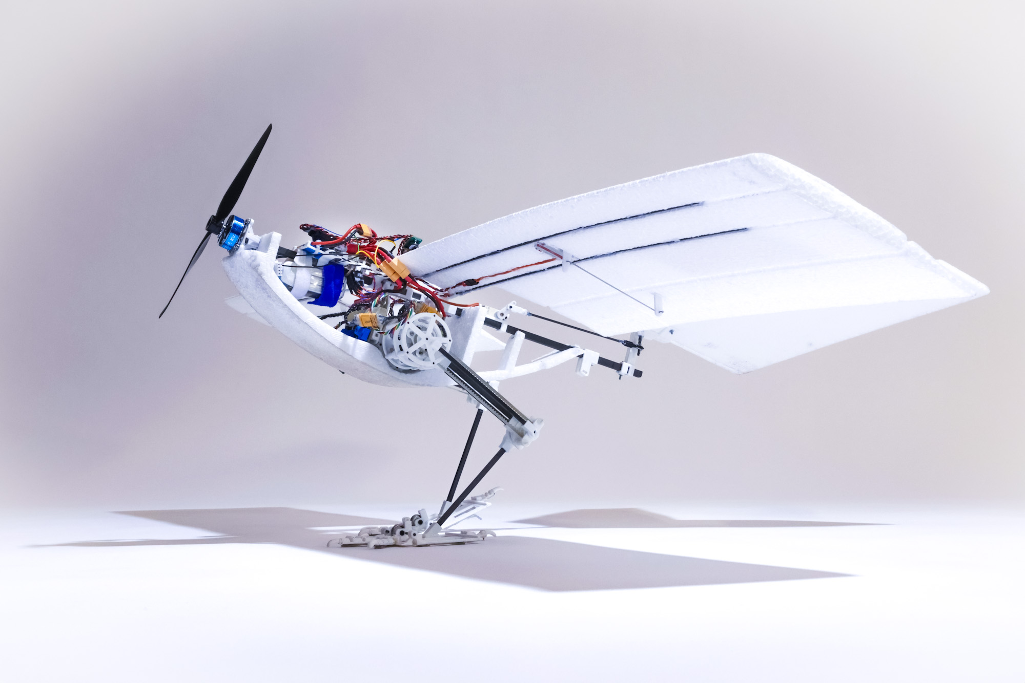 New Bird-Inspired Drone "RAVEN" Can Walk, Hop, and Fly – TechAcute