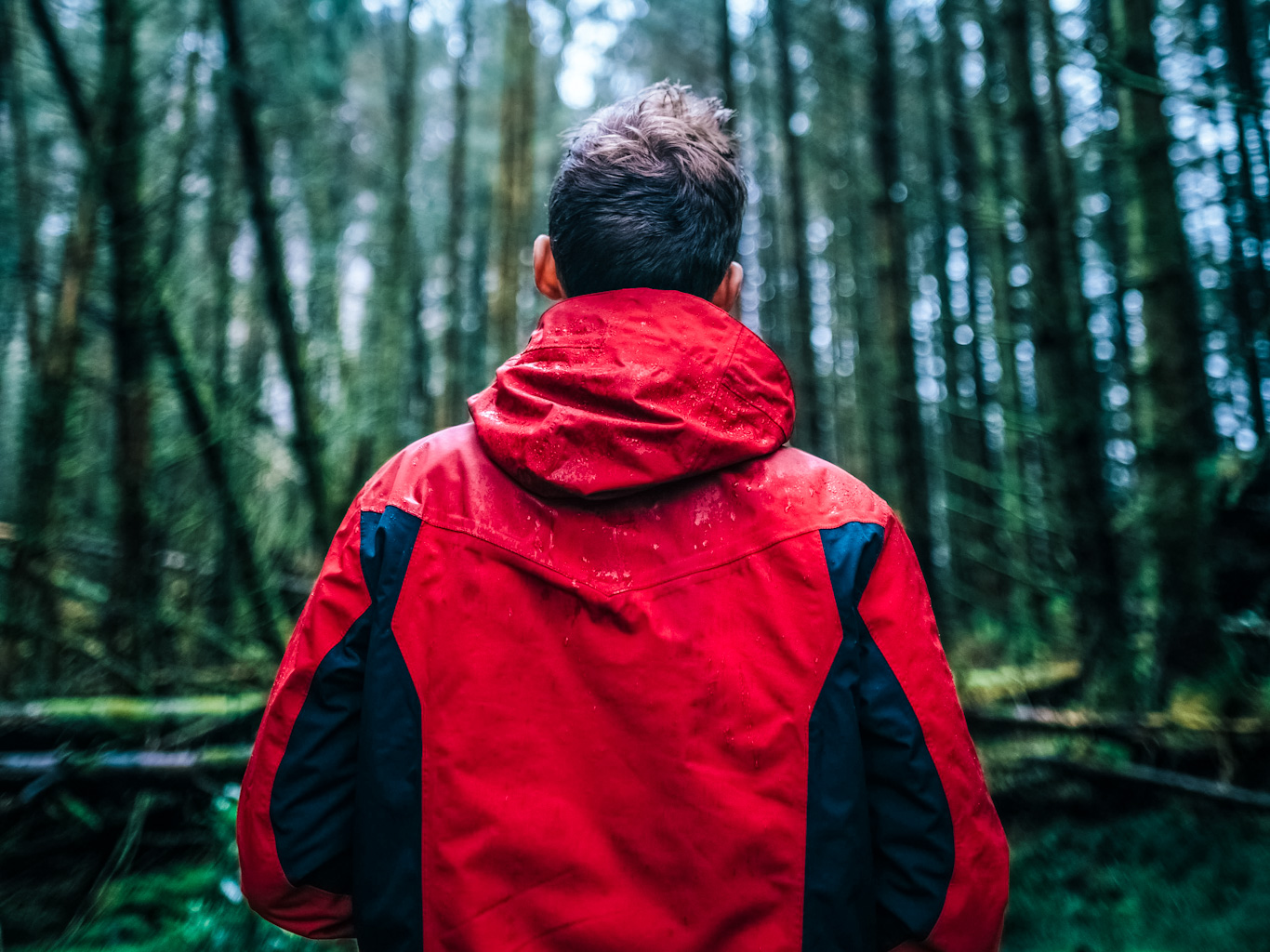 AI Jacket Could Keep You Cozy in Various Environments – TechAcute