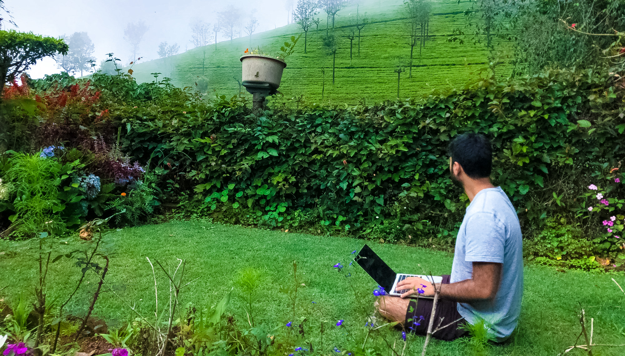 Greenie Web’s Role in Decreasing Digital Footprint Carbon – TechAcute