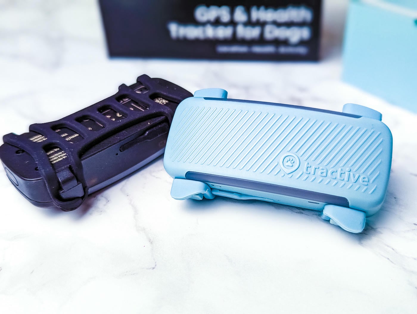 Keep Tabs on Your Pet with Tractive Trackers [Review] – TechAcute